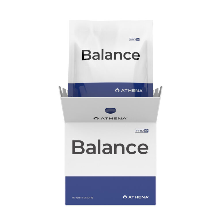 Balance – Athena